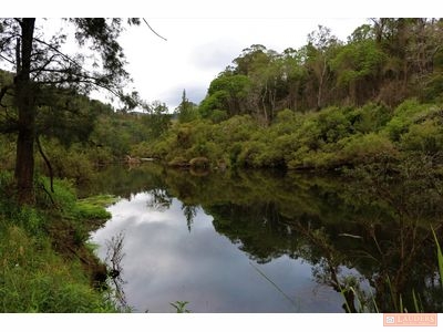 | LARGE ACRES ON NOWENDOC RIVER