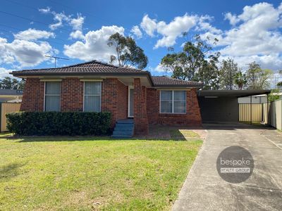 | Rumpus Room + Outdoor Enclosure